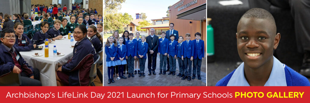 SCHOOL VIDEOS AND PROJECTS